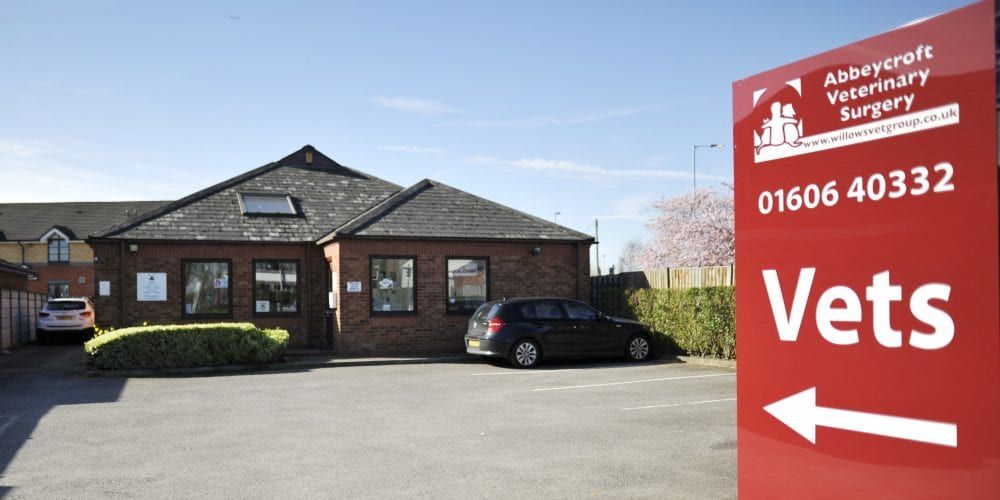 Abbeycroft Vets | Quality Pet Care in Northwich